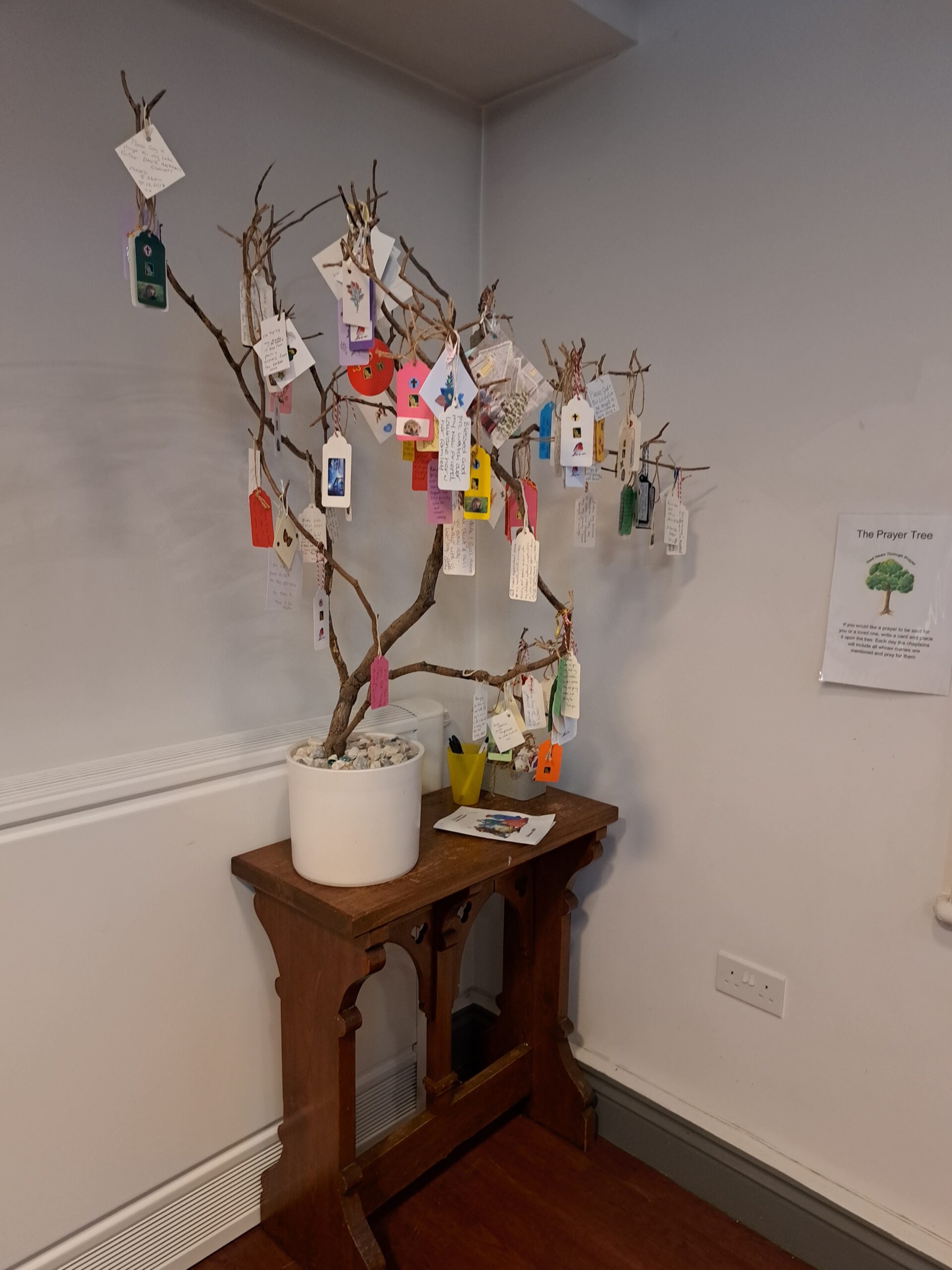 The Prayer Tree – 08/01/2024 – Margie's Notes